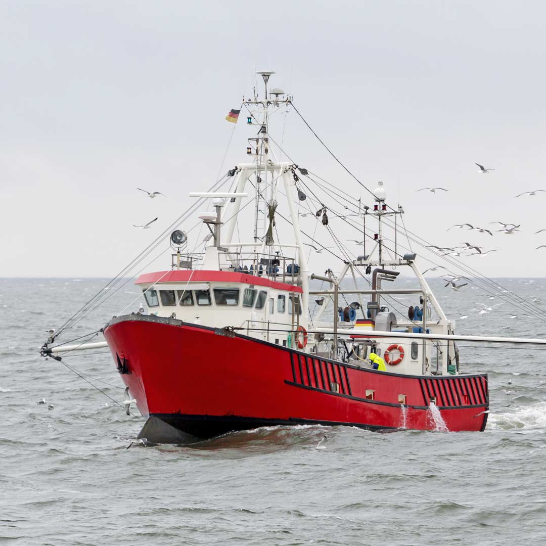 Port & Marine Automatic Fire Suppression Solutions | Reacton Fire